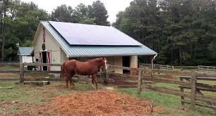 Unlocking the Potential of Rural America: A Deep Dive into the REAP ...